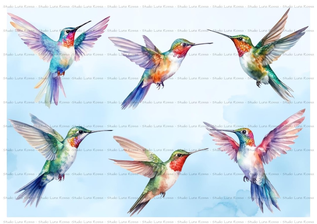 Hummingbird Collection Decoupage Rice Paper A4, for Scrapbooks ...