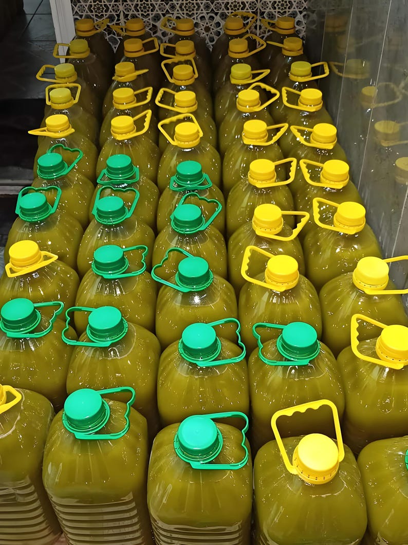 December 2025 Harvest – Traditional Moroccan Olive Oil (farm Direct ...