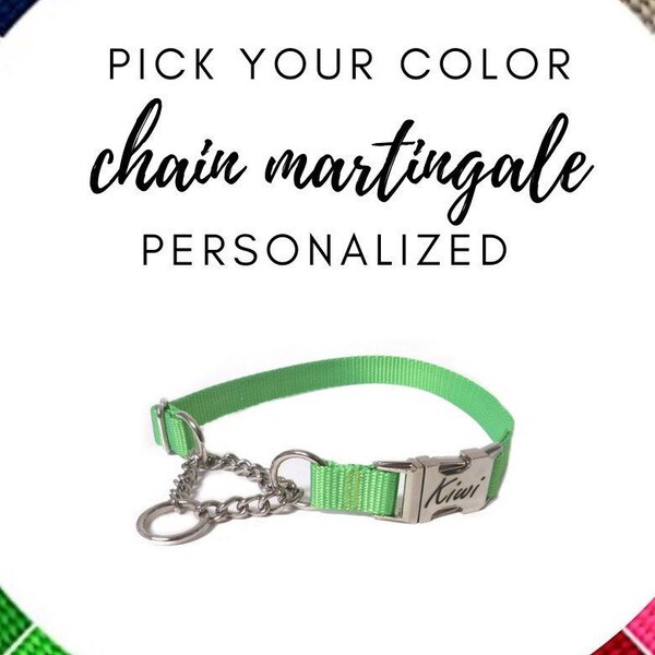 Dog Chain Collar - Etsy