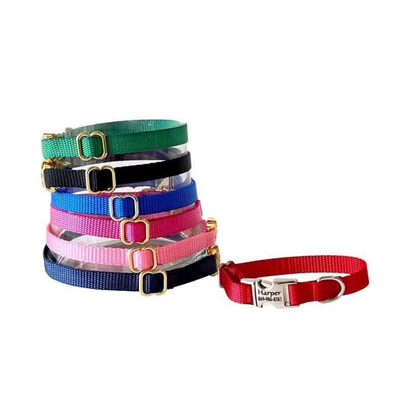 3/8 Nylon Dog Leash - Etsy