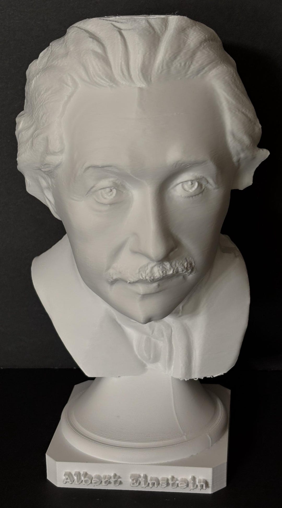 Albert Einstein Bust, 3D Printed PLA Bioplastic Statue - Etsy