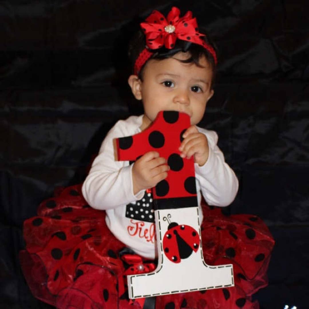 Ladybug First Birthday Photo Prop Lady Bug Hand Painted Wooden Number 1 ...