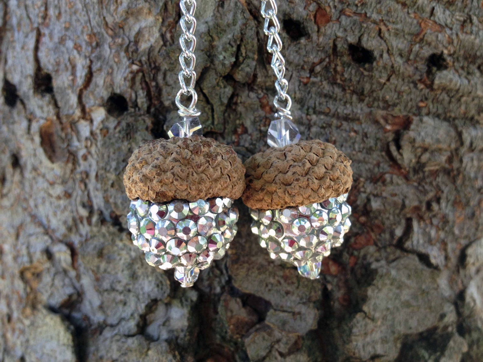 Real Acorn Chain Earrings Silver Sparkle - Etsy