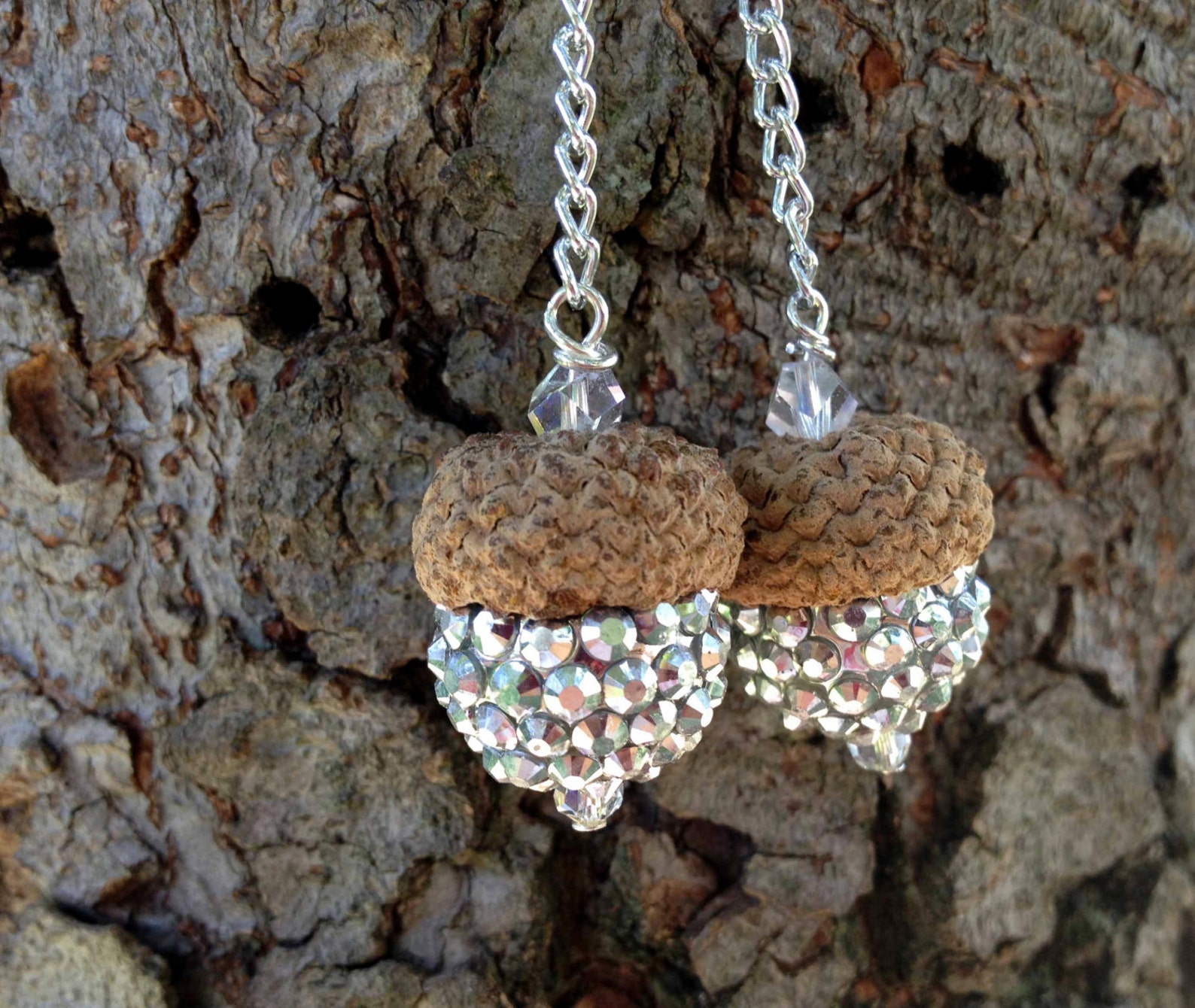 Real Acorn Chain Earrings Silver Sparkle - Etsy