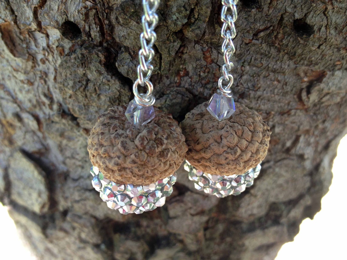 Real Acorn Chain Earrings Silver Sparkle - Etsy