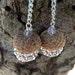 Real Acorn Chain Earrings Silver Sparkle - Etsy