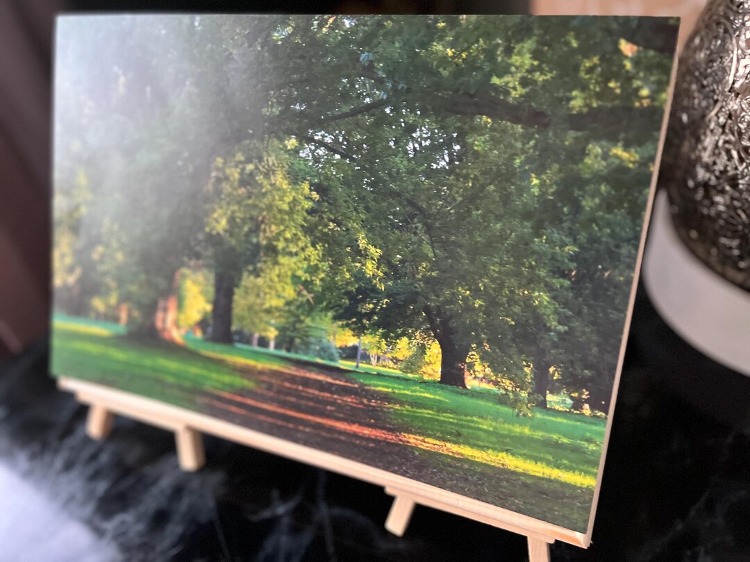 Wicksteed Arboretum Photo Poster Print (20x30cm) - Etsy
