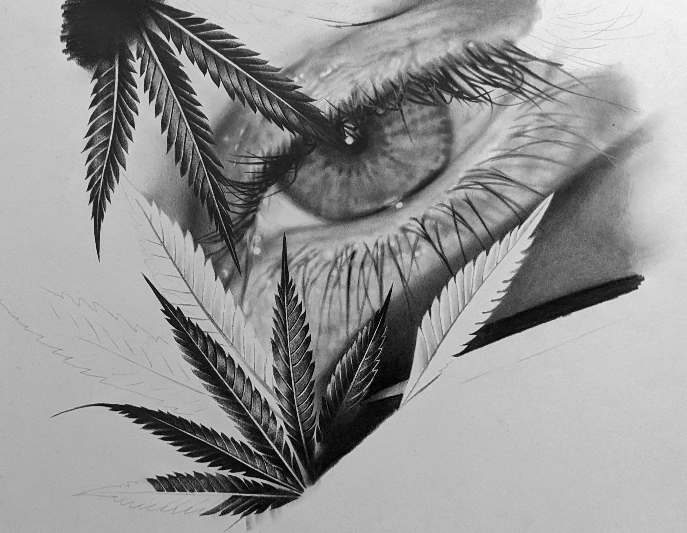 Weed Pencil Drawing