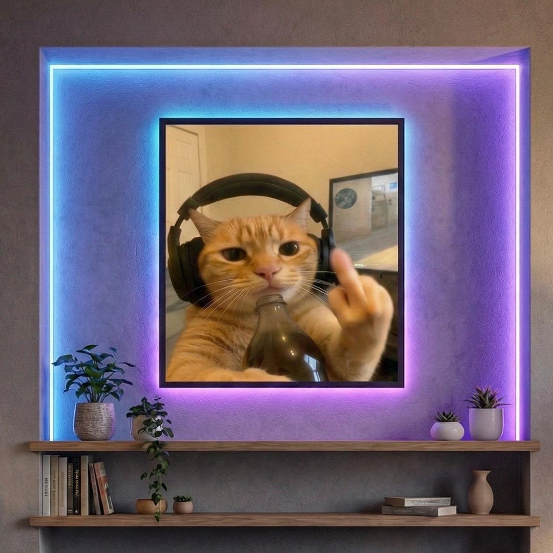 Funny Gamer Cat Print, Middle Finger Wall Art, Toxic Player Gift ...