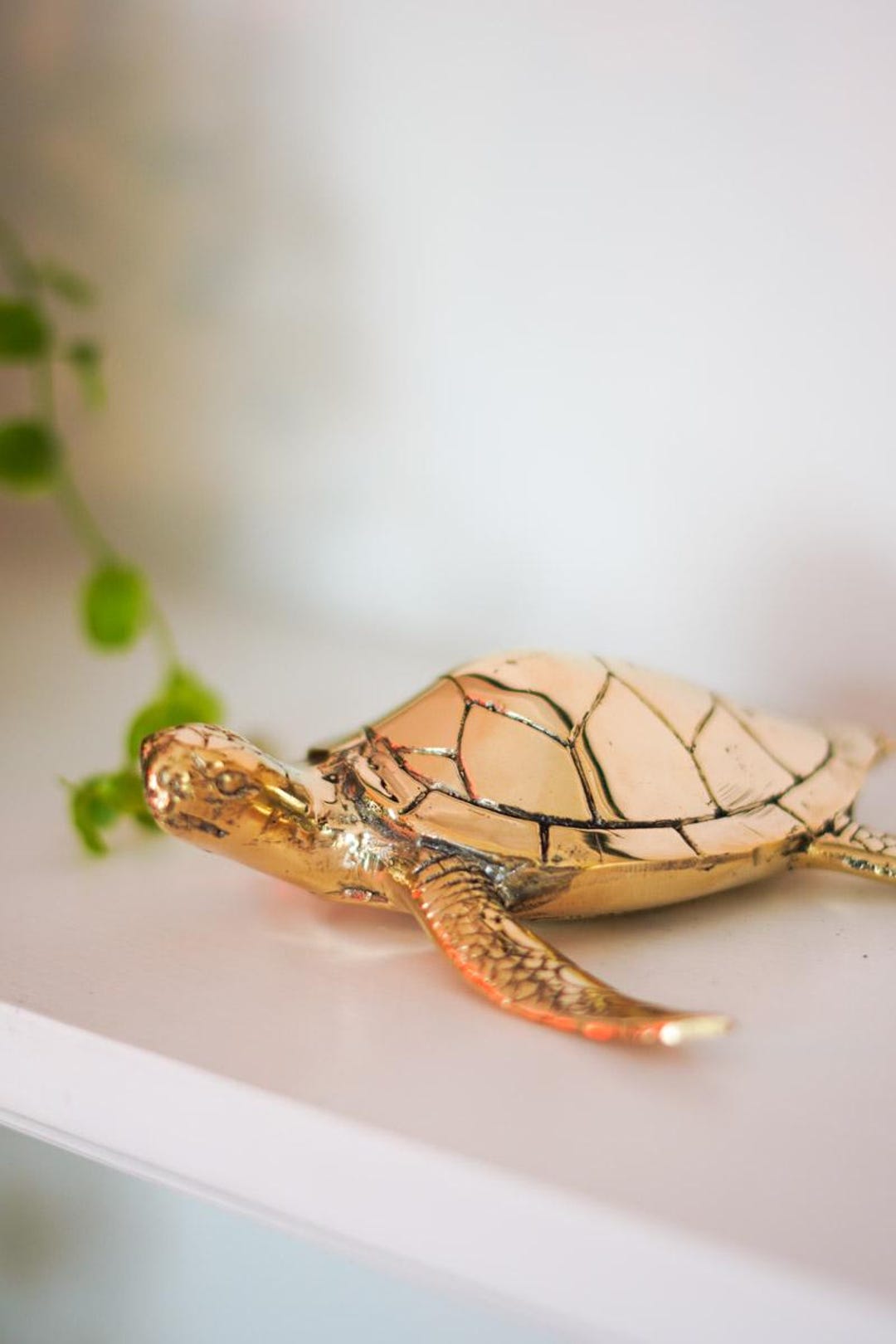 Handcrafted Brass Sea Turtle Tabletop Decor – Large Coastal Accent From ...