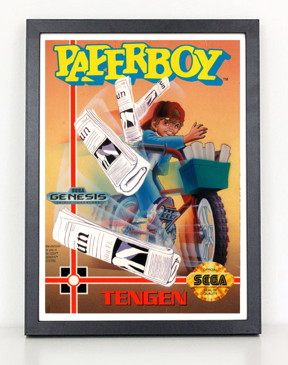 The Paperboy Poster