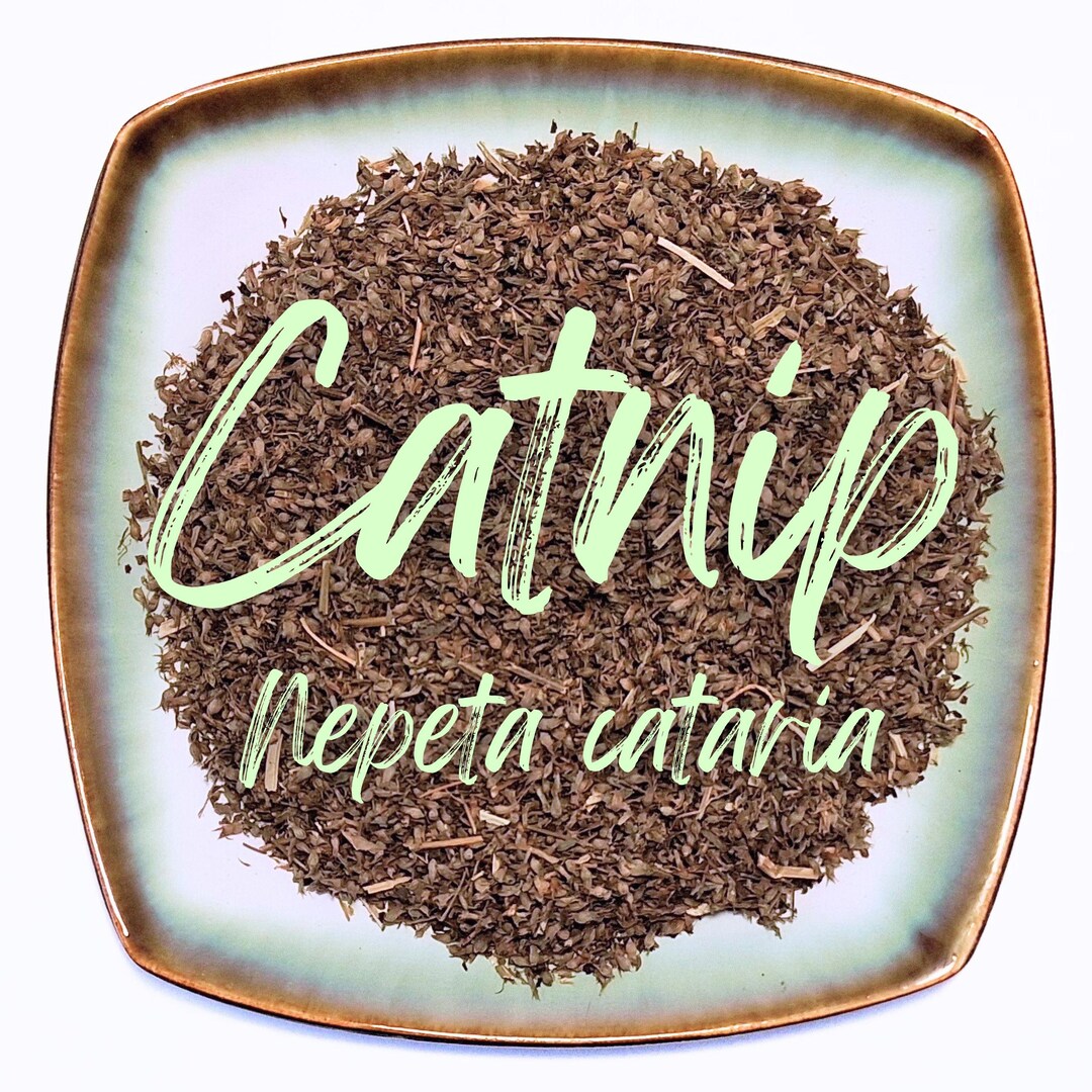 Catnip Leaf - Nepeta Cataria - Organic Dried Herb - Etsy