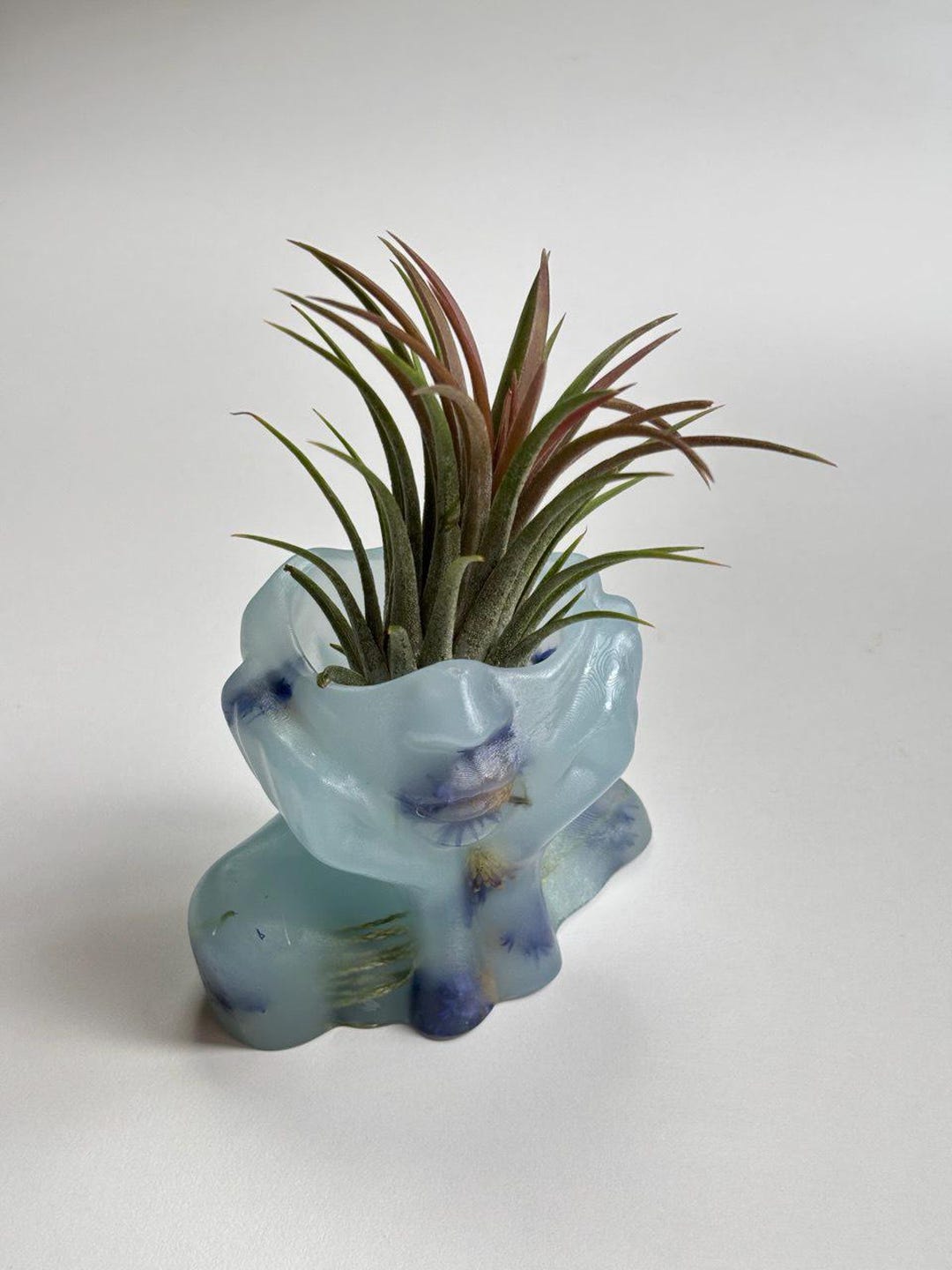 Tillandsia Planter Display | Air Plant Resin Holder | Slow Living Decor ...