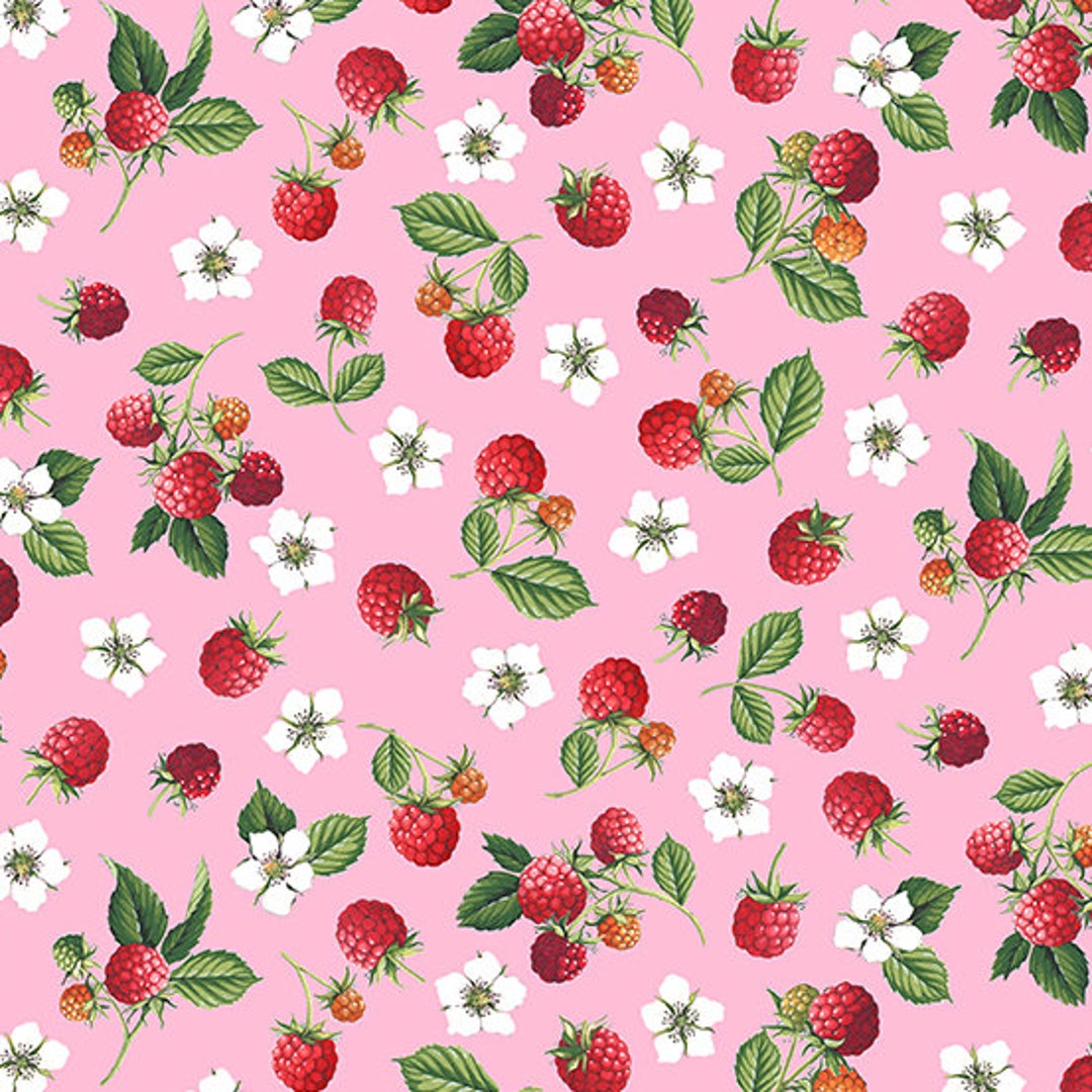 FAT QUARTER - Summer Days - Raspberries Pink From Makower UK Fabric - Etsy