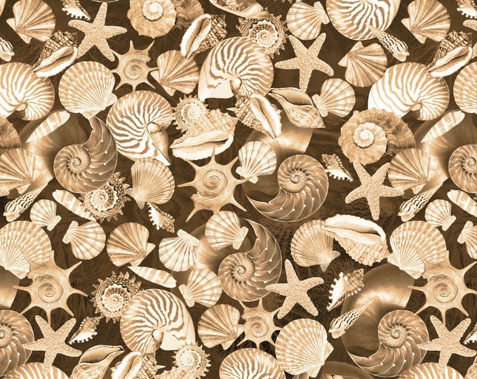 Seashell Fabric Colourful Seashells by Elena O'neill Illustration ...