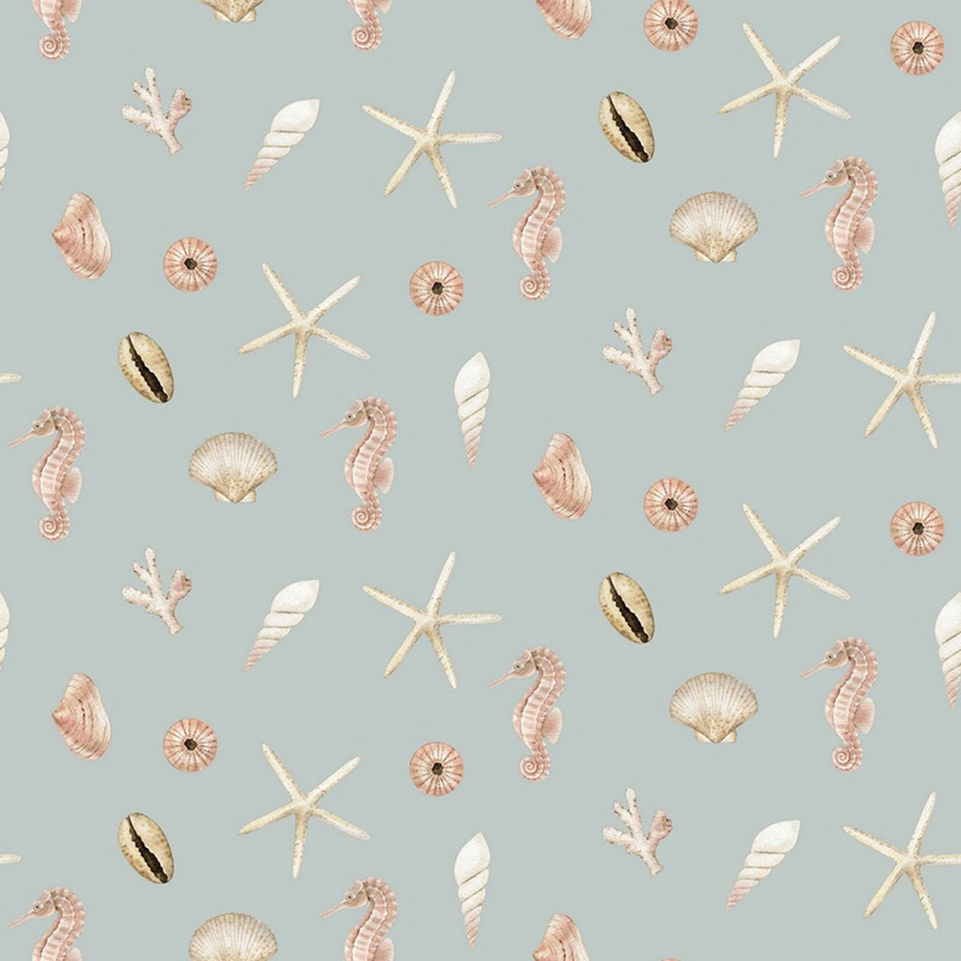 Shells CANVAS Lt Blue 53 Inch From Verhees Fabric - Etsy