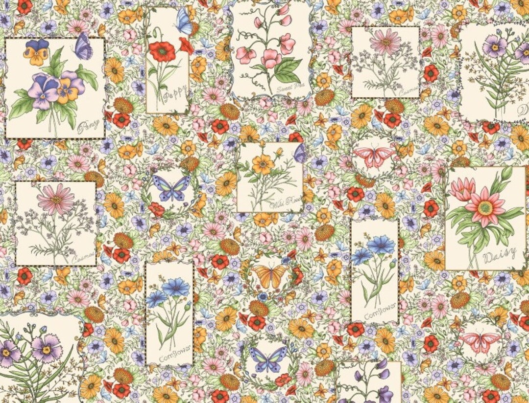 Garden Stroll - Flower Frames Cream by Kris Lammers From Maywood Studio ...