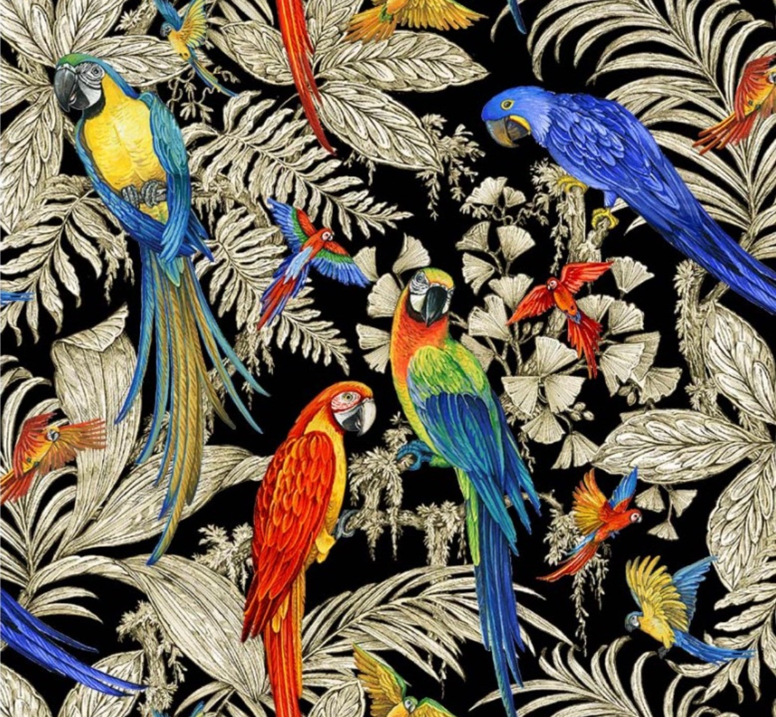 Exotica - Fanciful Birds Black From Michael Miller Fabric - Etsy