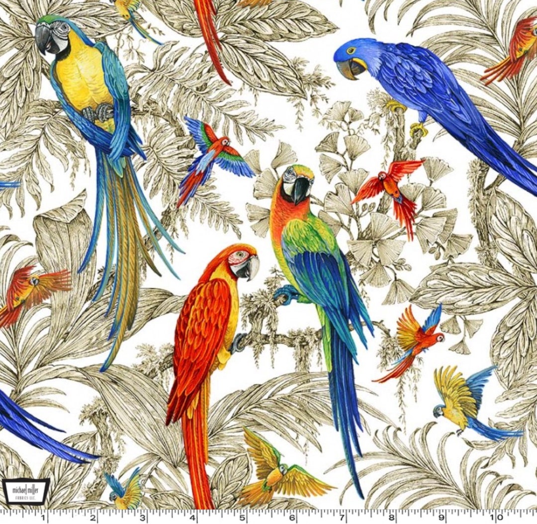 Exotica - Fanciful Birds White From Michael Miller Fabric - Etsy