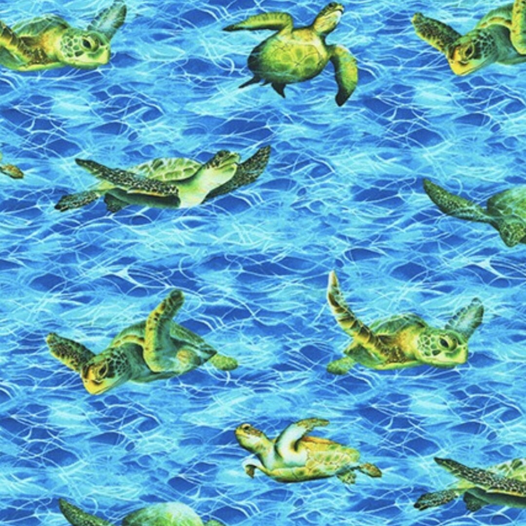 Coral Canyon - Turtles Azure From Robert Kaufman Fabrics - Etsy