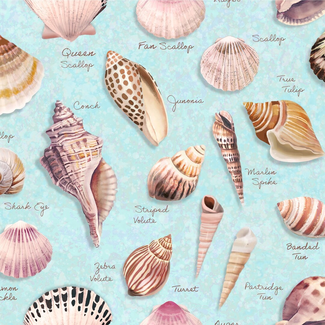Seashell Wishes - Shells Lt Aqua by Diane Neukirch From Clothworks ...