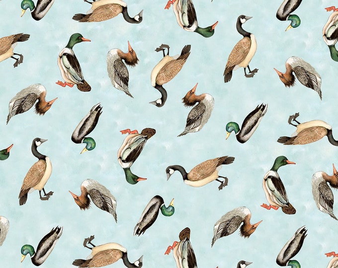Down by the Lake - Duck Toss Lt Blue From Wilmington Fabric - Etsy