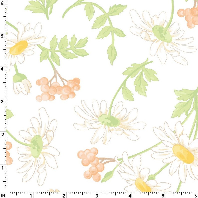 Fresh as A Daisy - Daisies and Berries off White by Rachel Shelburne ...