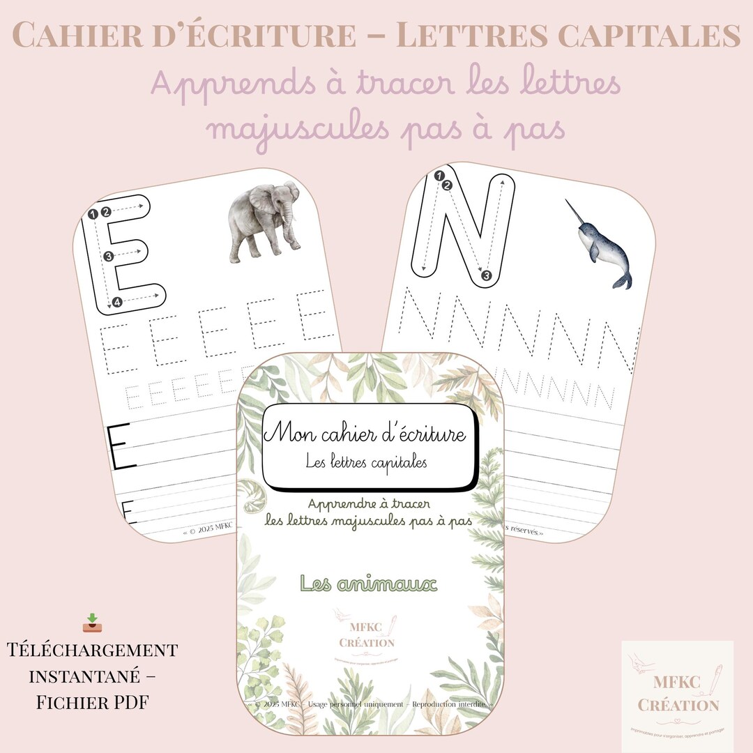 Printable Capital Letter Writing Workbook • French Alphabet Tracing ...