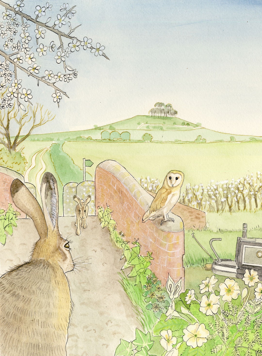 Barn Owl at Woodborough Bridge A4 Size Print - Etsy