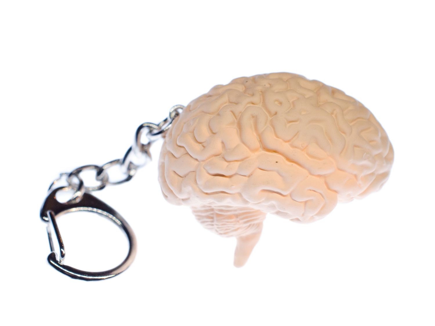 Brain Key Ring Chain Miniblings Kids Children Organ Human - Etsy