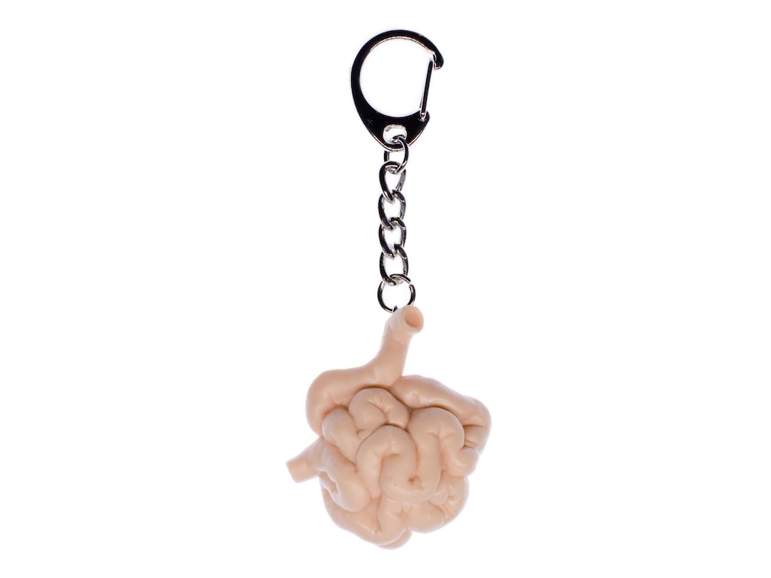 Small Intestine Key Ring Chain Miniblings Kids Children Organ Gut ...