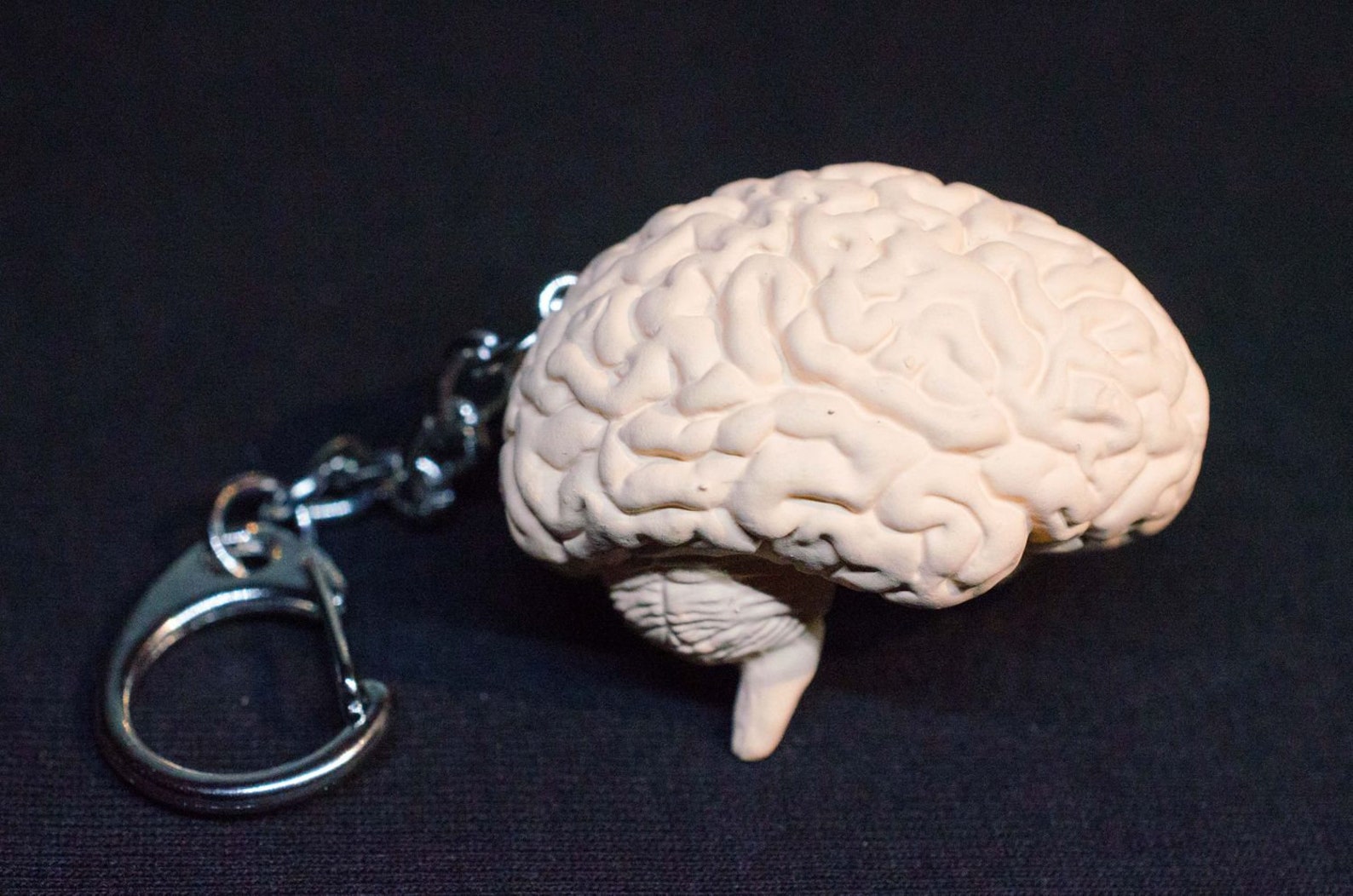 Brain Key Ring Chain Miniblings Kids Children Organ Human Anatomy - Etsy
