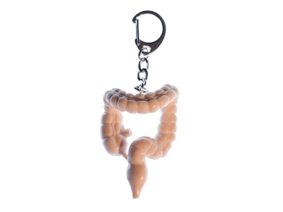 Colon Key Ring Chain Miniblings Human Organ Gut Anatomy - Etsy