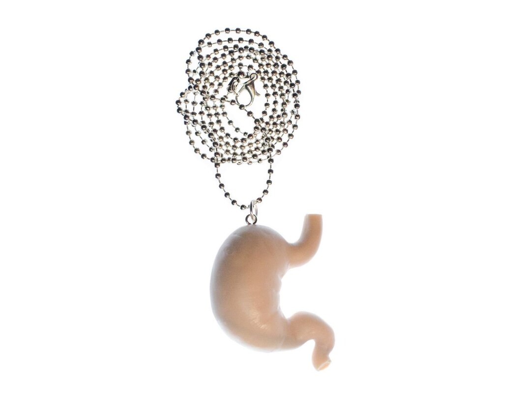 Stomach Necklace Miniblings 80cm Medicine Organ Anatomy - Etsy