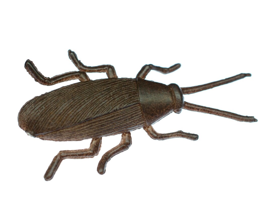 Cockroach Brooch Pin Badge Button Miniblings Beetle Dark Halloween Fun ...