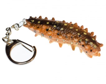 Sea Cucumber - Etsy UK