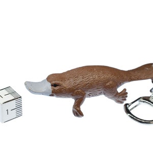 Platypus Key Ring Chain Keychain Wild Animal Australia | Etsy