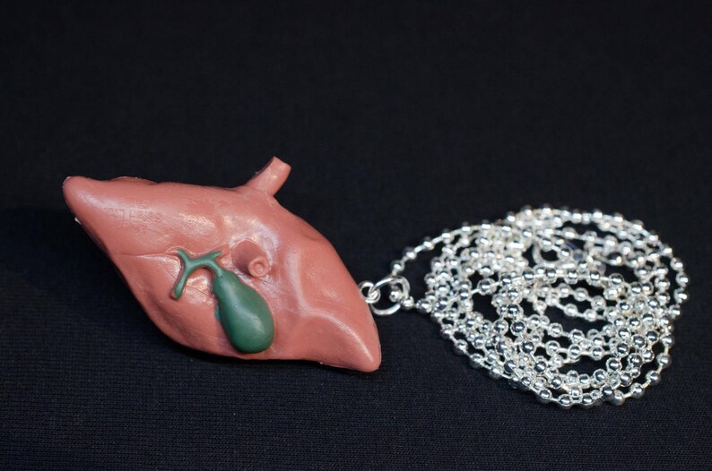 Liver Necklace Miniblings 80cm Anatomy Medicine Organ Medical - Etsy