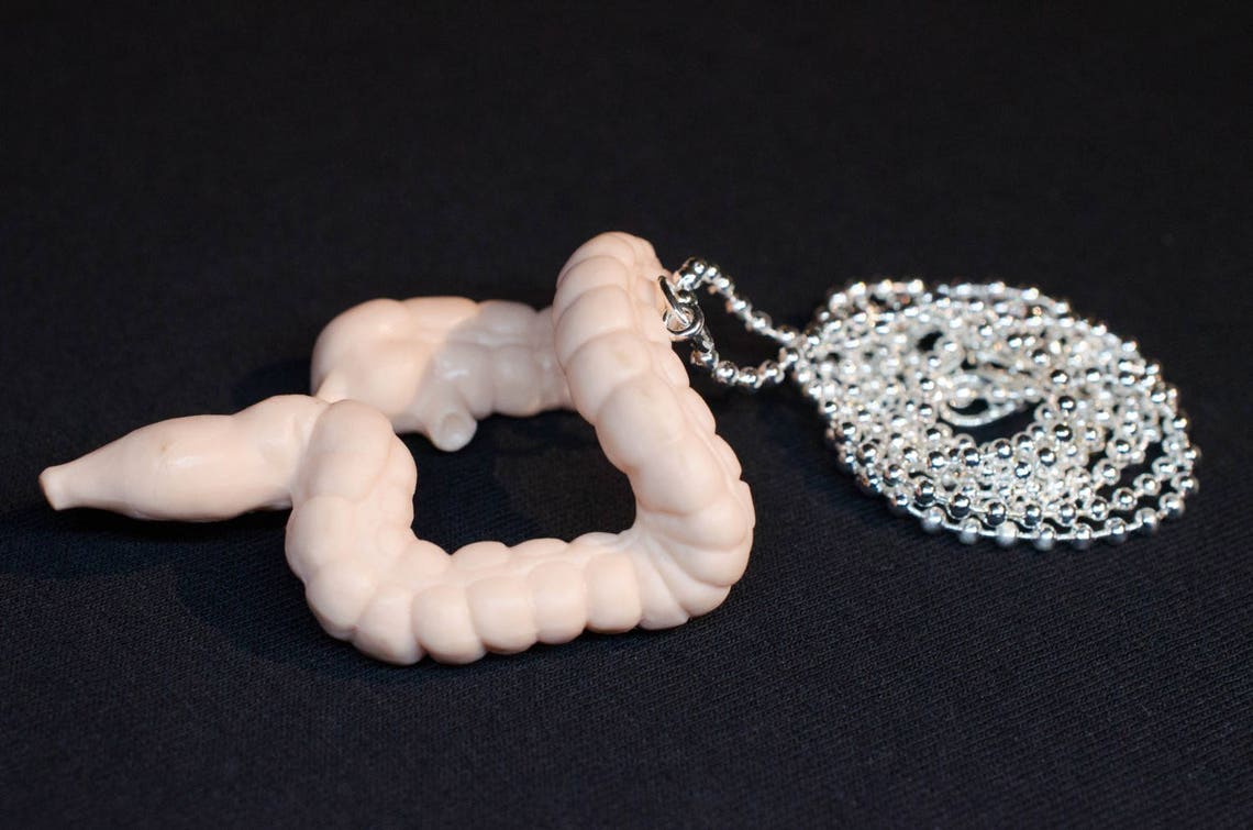 Colon Necklace Miniblings 80cm Medicine Anatomy Human - Etsy