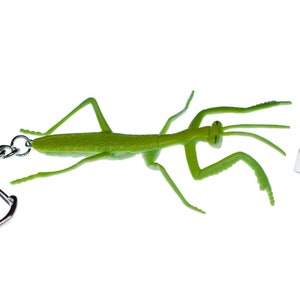 Praying Mantis Grasshopper Ring Miniblings Insect Spook - Etsy