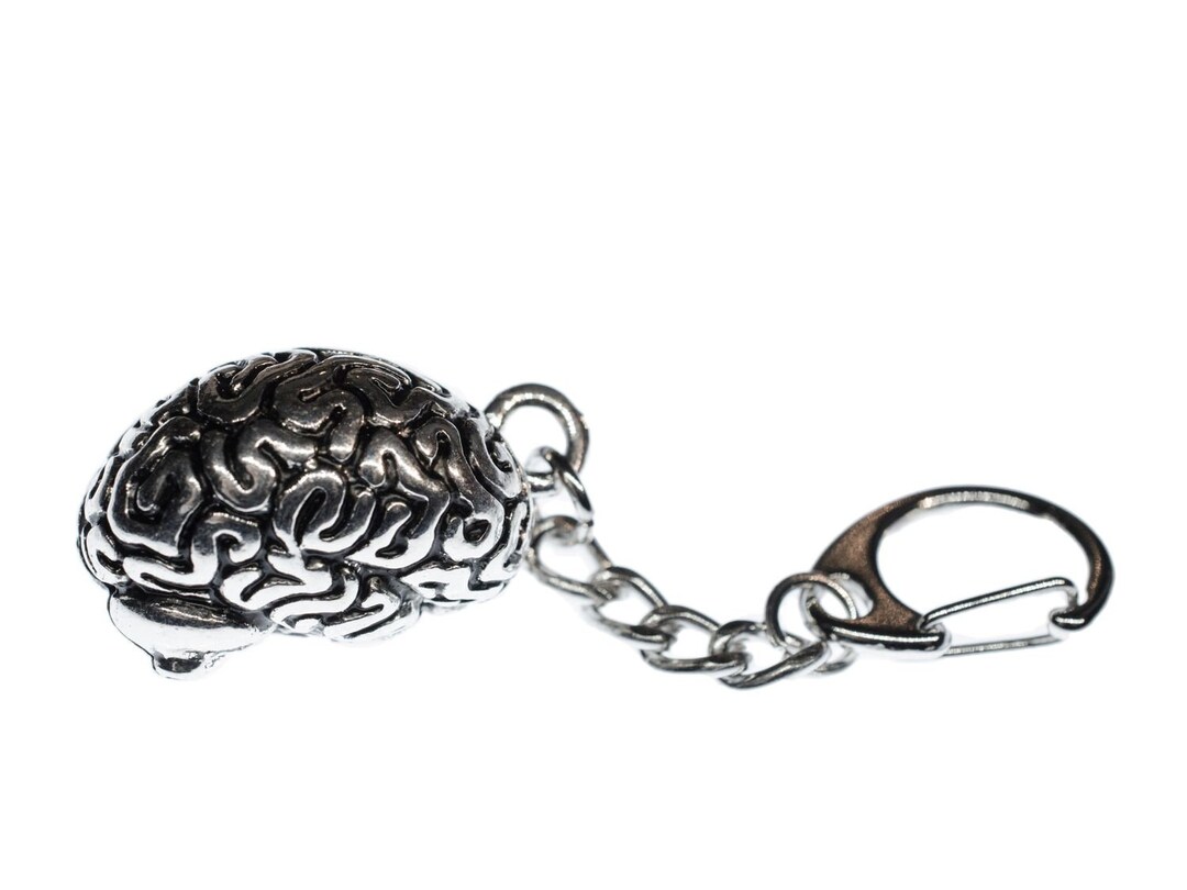 Brain Key Ring Chain Miniblings Organ Medicine Doctor Hospital Human ...