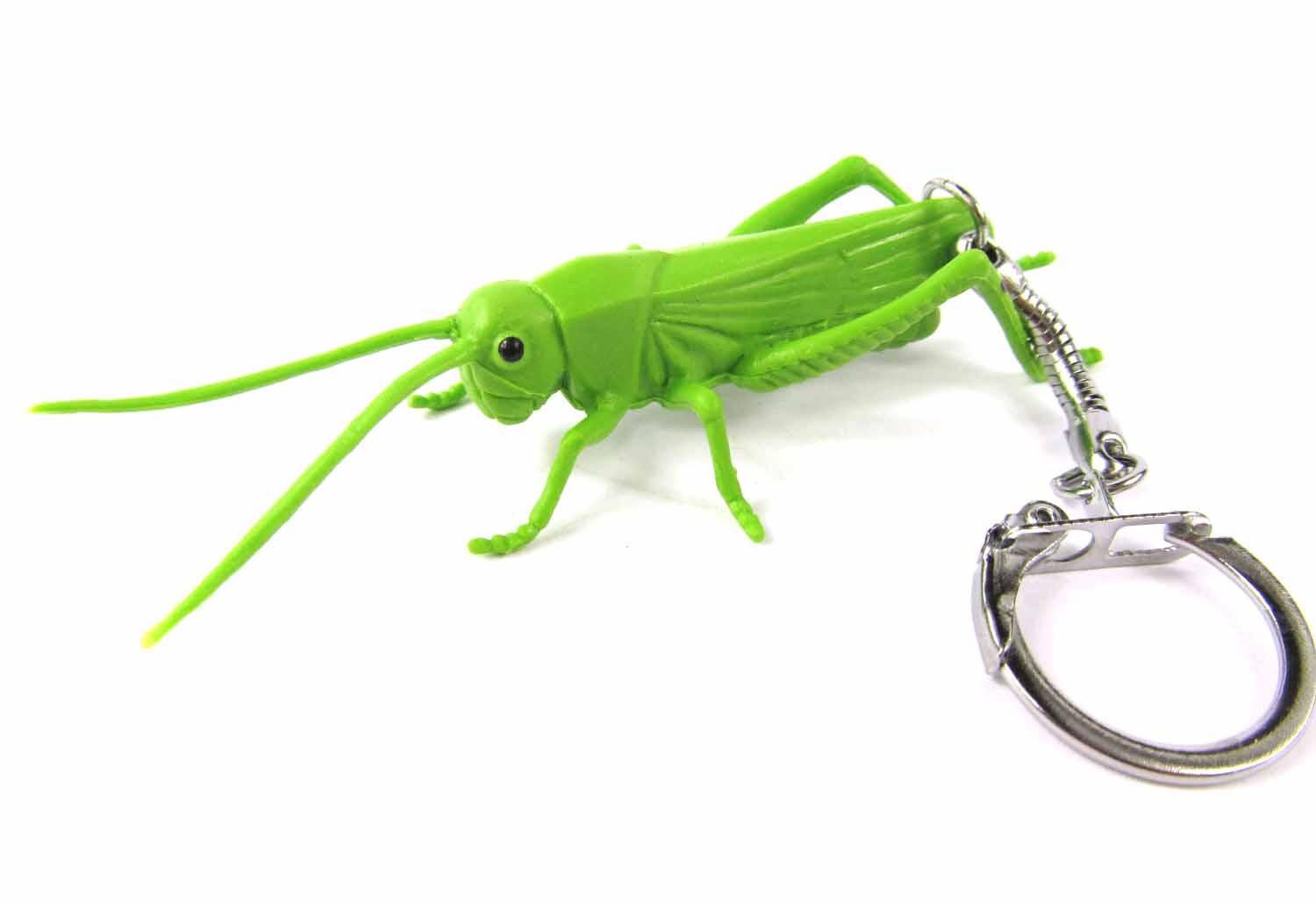 Grasshopper Key Ring Chain Miniblings Insect - Etsy