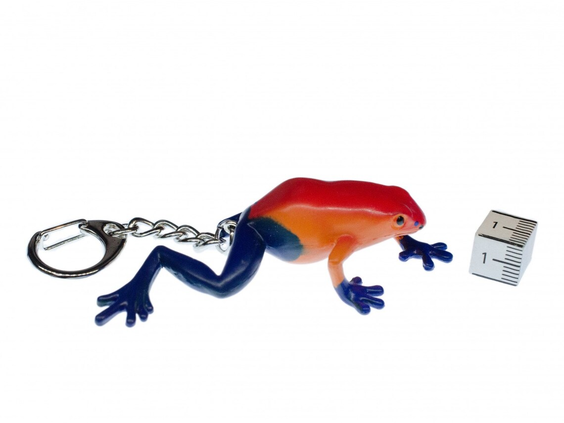 Frog Key Ring Chain Miniblings Frogs Blue Orange | Etsy