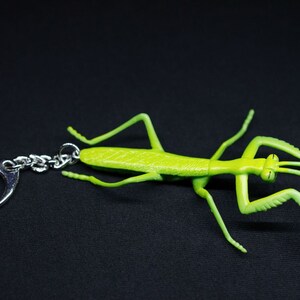 Praying Mantis Grasshopper Ring Miniblings Insect Spook - Etsy