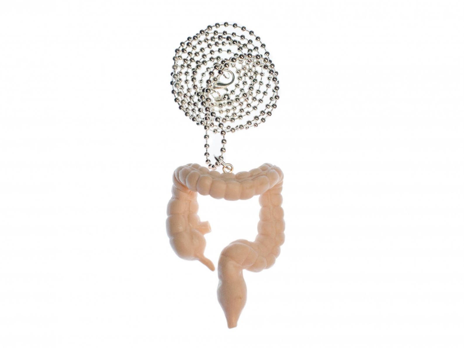 Colon Necklace Miniblings 80cm Medicine Anatomy Human - Etsy