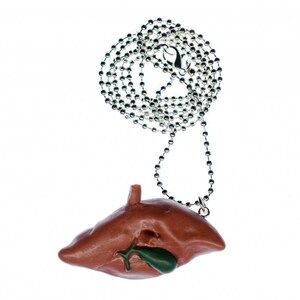 Liver Necklace Miniblings 80cm Anatomy Medicine Organ Medical - Etsy