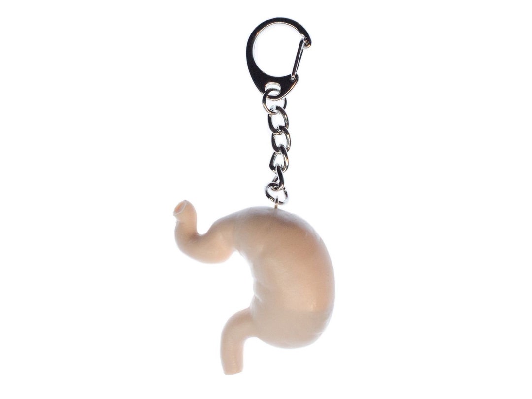 Stomach Key Ring Chain Miniblings Kids Children Organ Human Anatomy ...
