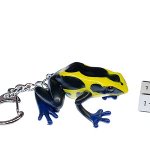 Frog Key Ring Chain Miniblings Frogs Black Yellow - Etsy