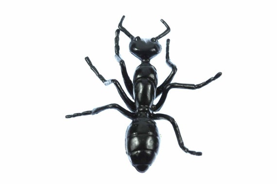 Ant Ants Brooch Miniblings Pin Badge Button Halloween Insekt - Etsy