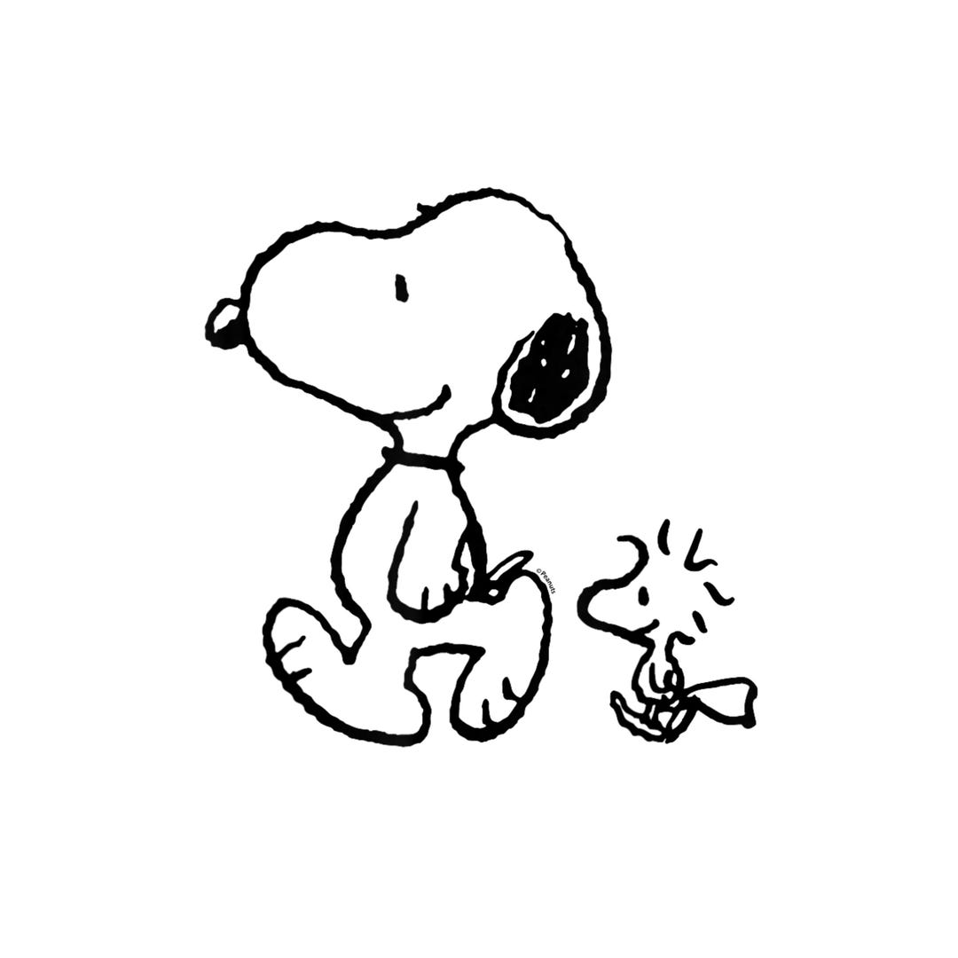 Peanuts – Snoopy & Woodstock Walk – Cute Friendship Cartoon PNG ...